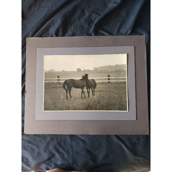 Art | Georgemahoney Antique Black White Mounted Horse Print Signed ...
